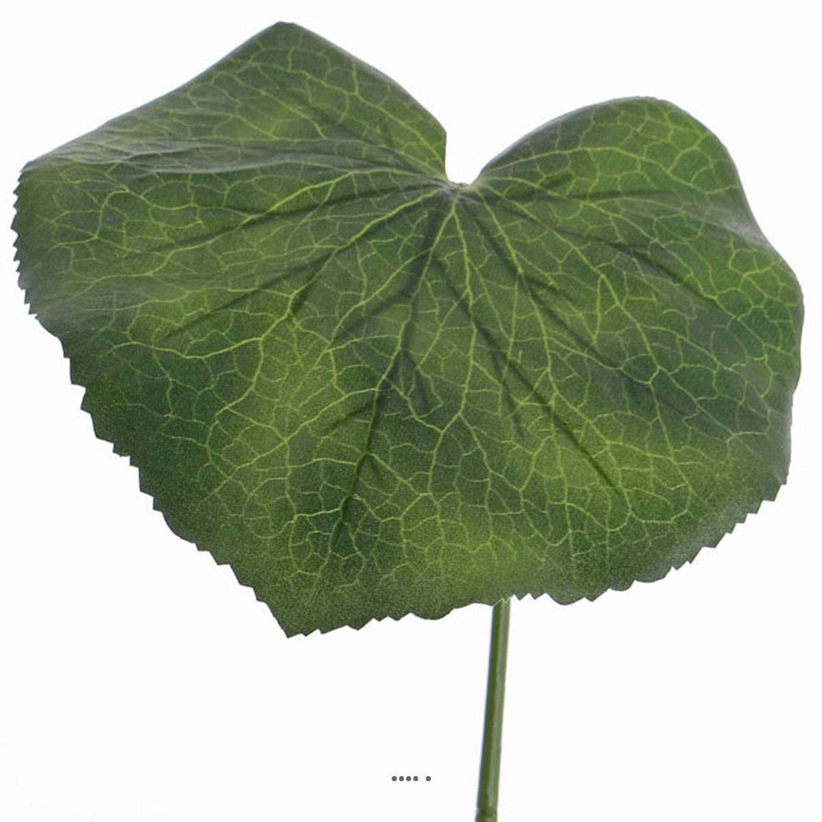 Feuille de galax artificielle D 20 cm vert H 50 cm du site ...