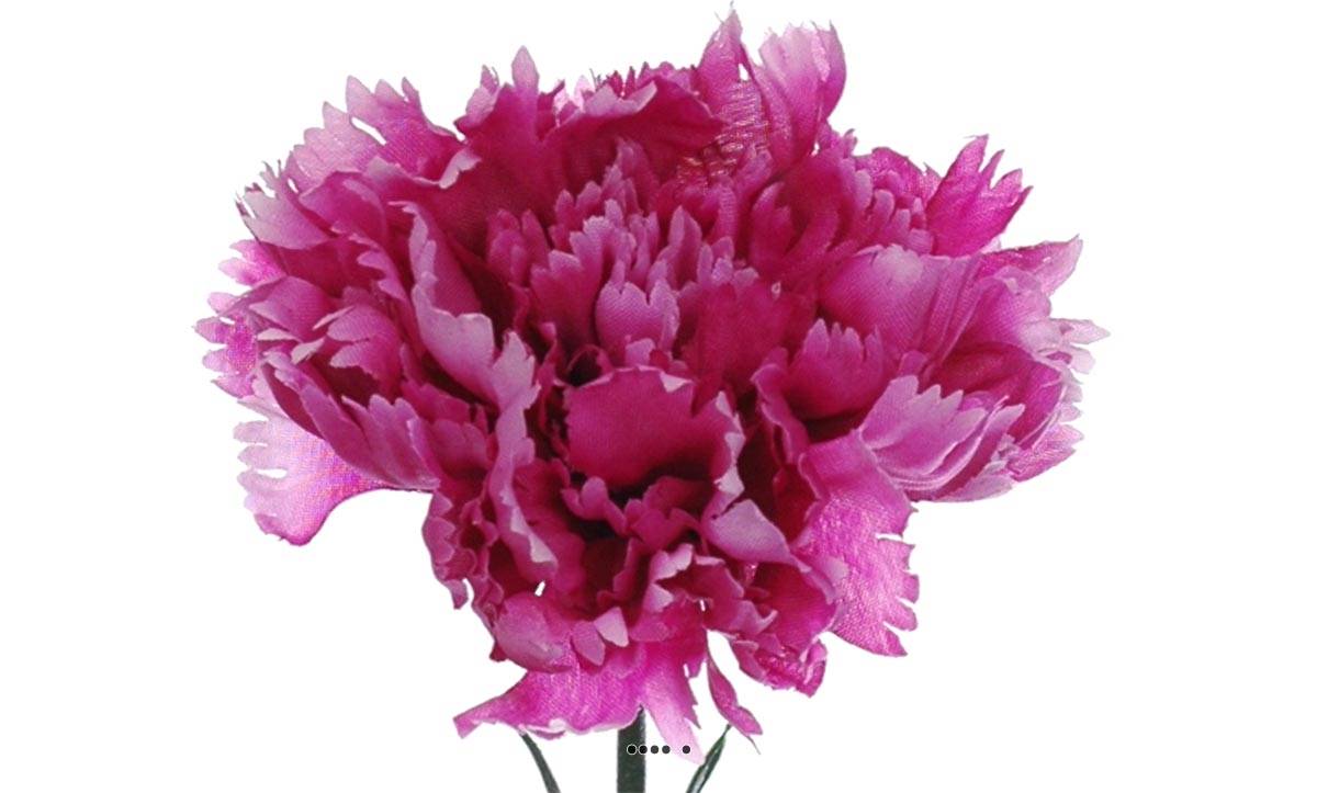 Oeillet artificiel H 60 cm superbe Tete tissu D 8cm | Artificielles.com. Oeillet artificiel H 60 cm superbe Tete tissu D 8cm | Artificielles.com.
