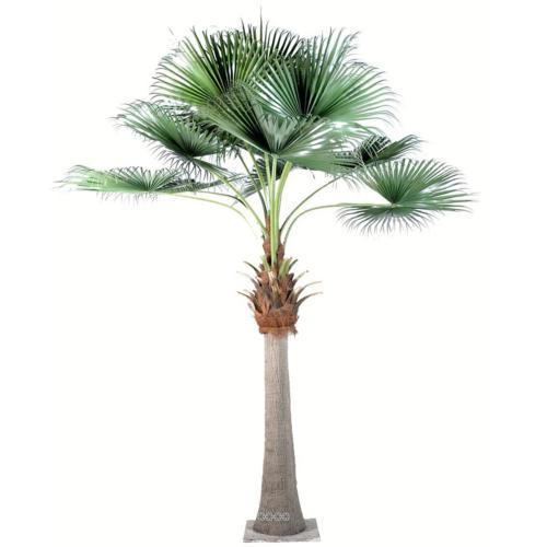Palmier Chamaerops Washingtonia artificiel H 690 cm