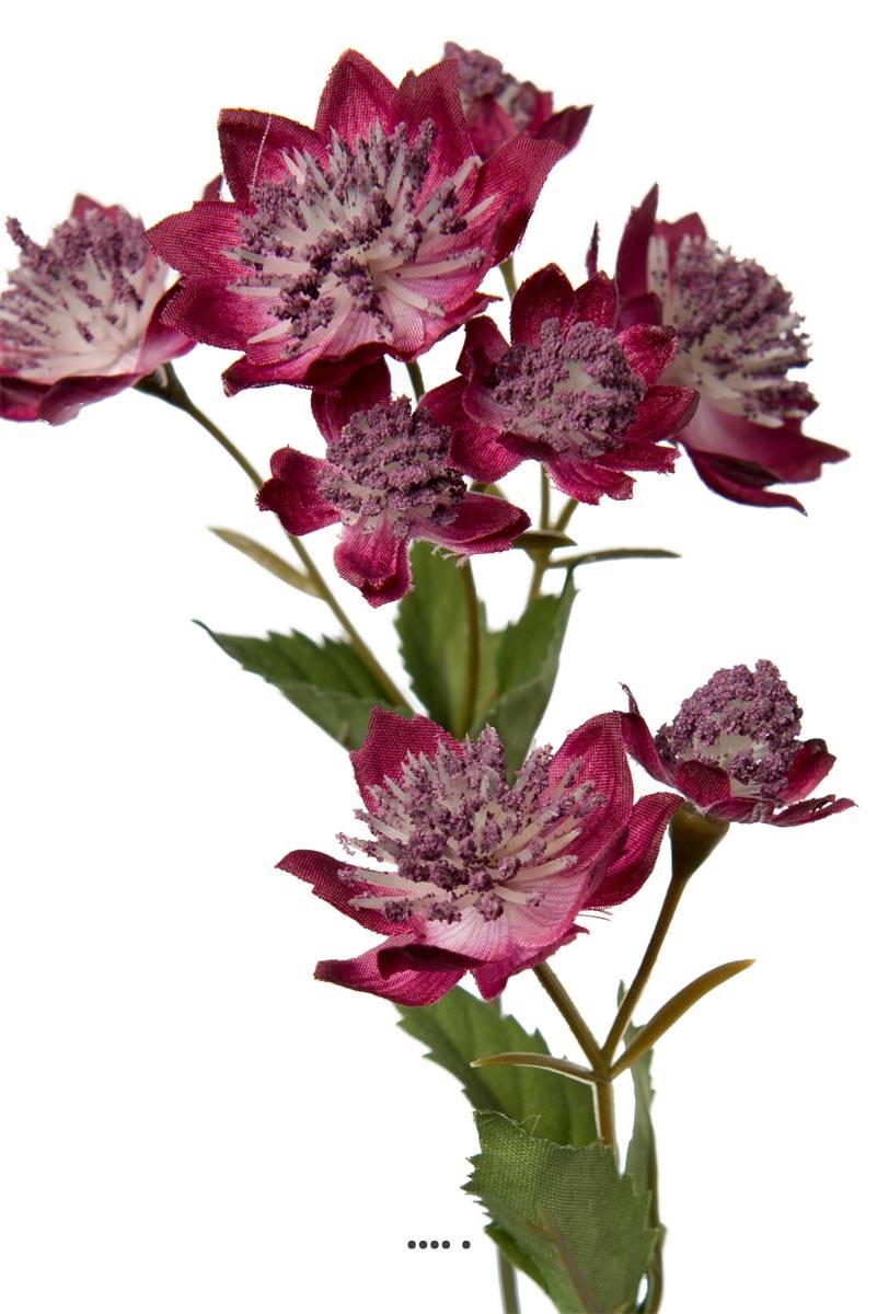 Astrance fleur artificiellel H 50 cm 8 fleurs 2 ramures Rare et superbe ...