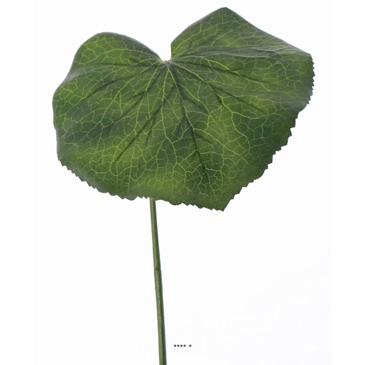 Feuille de galax artificielle D 20 cm vert H 50 cm du site ...