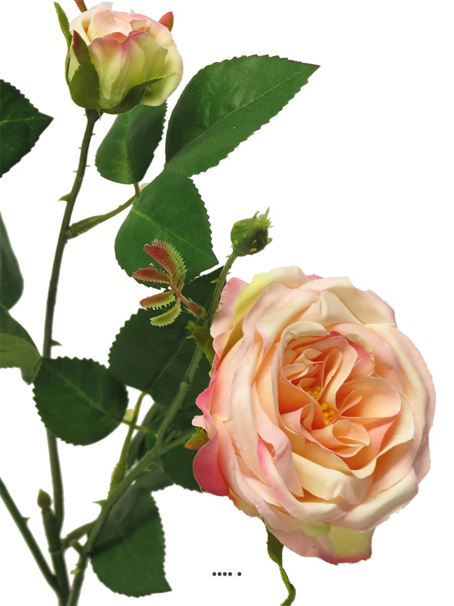 Rose Paris ramifiée, 3 têtes, 61 cm | Artificielles.com