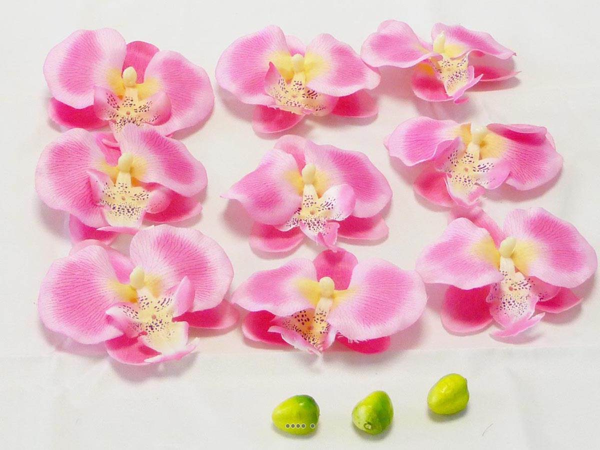 Tetes fleurons Orchidee Phalaenopsis Artificielles X 9 et 3 boutons du ...
